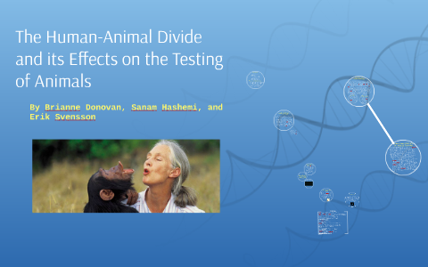 The Human-Animal Divide and its Effects on the Testing of An by Brianne ...
