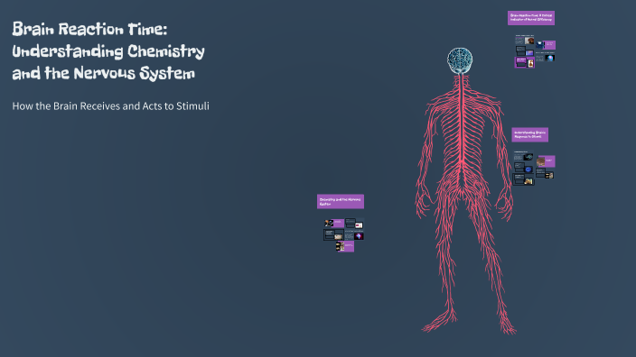 Brain Reaction Time: Understanding Chemistry and the Nervous System by ...