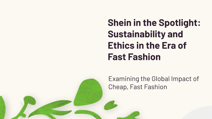 Shein in the Spotlight: Sustainability and Ethics in the Era of Fast ...