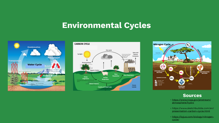 Environmental Cycles by Alexia Rac on Prezi