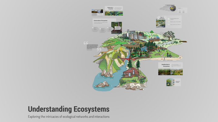 Understanding Ecosystems by Катя Сильвестрова on Prezi
