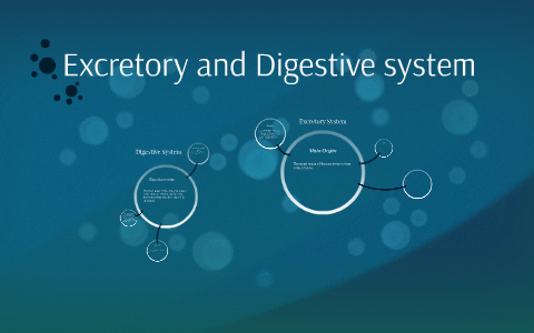 Excretory and Digestive system by on Prezi