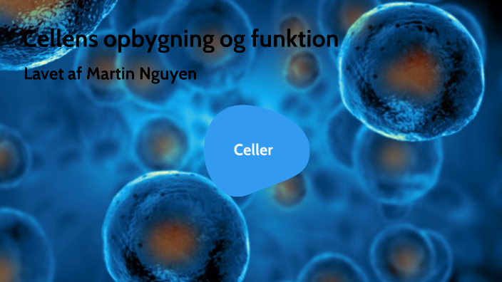 Cellens opbygning og funktion by Martin Nguyen on Prezi