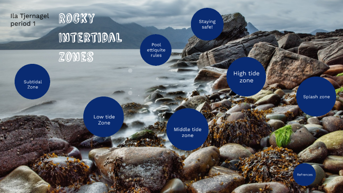 rocky intertidal ecosystems by ila tjernagel on Prezi