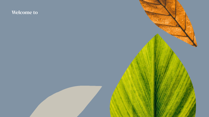 2024 Vacation Planning by Eva Goldfarb on Prezi