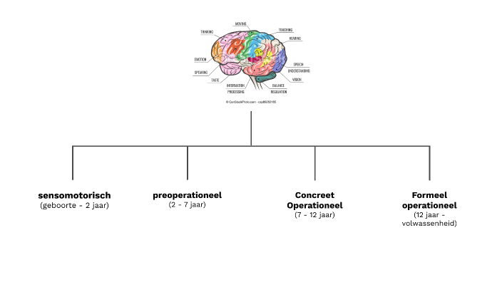 Preoperationele stadium Piaget by johnny naalden on Prezi