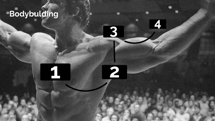 bodybulding by Hamdy on Prezi