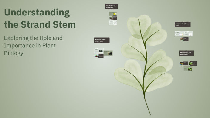 Understanding the Strand Stem by Remiah Rosales on Prezi