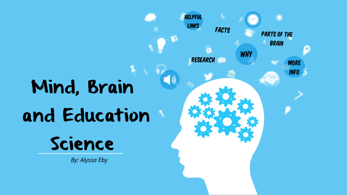 Mind Brain and Education Science by Alyssa Eby on Prezi