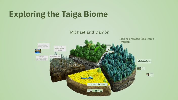 Exploring the Taiga Biome by Michael Emmert on Prezi