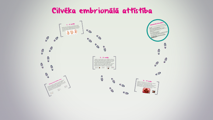 Cilvēka embrionālā attīstība by Elīza Jaunzeme on Prezi