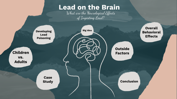 Lead on the Brain by Grayson Warren on Prezi