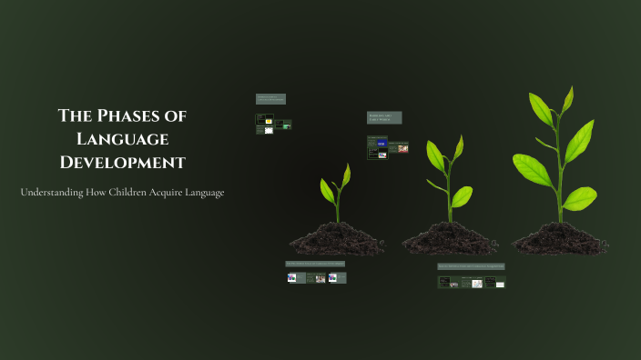 The Phases of Language Development by Tiffany sommerio on Prezi