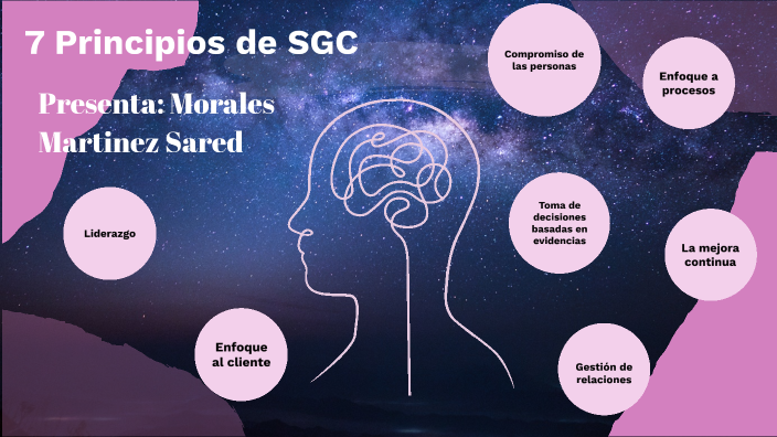 7 PRINCIPIOS DE SGC by Morales Martinez on Prezi