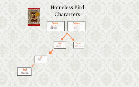 Homeless Bird Characters by Sam Simniskis on Prezi
