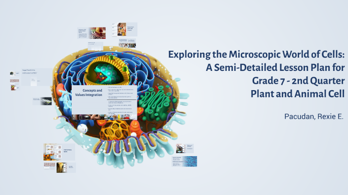 Exploring the Microscopic World of Cells: A Semi-Detailed Lesson Plan ...