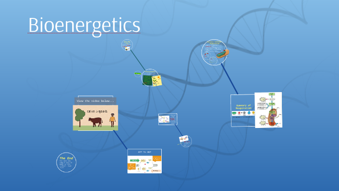 Bioenergetics by Keystone Biology on Prezi