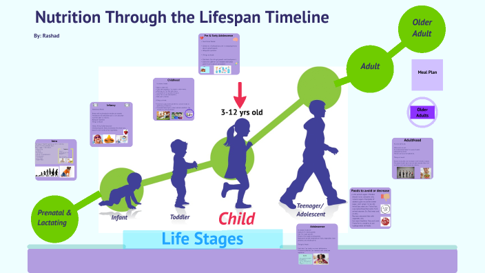 Nutrition Through the Lifespan Timeline by Rashad Khan on Prezi