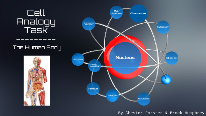 Cell Analogy Task - Human Body by Brock Humphrey on Prezi