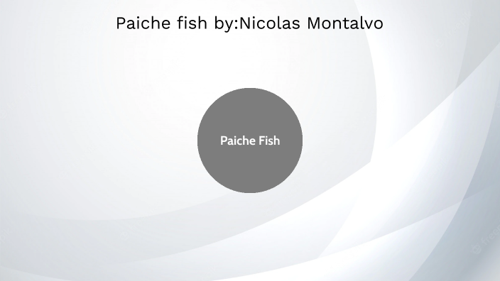 Paiche Fish by NicoChi :3 Montalvo Cruz on Prezi