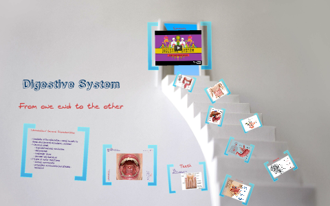 Digestive System by Nicole Rittenour on Prezi