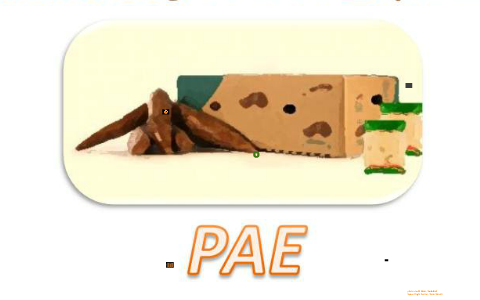 Proyecto PAE Productos Agrícolas de Exportación by Eduardo Steiner on Prezi