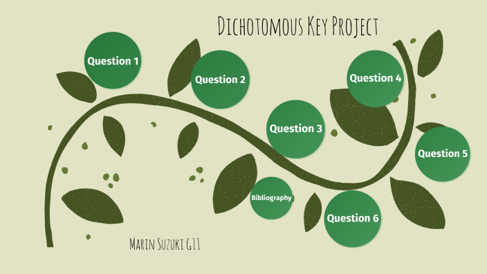 Dichotomous Key Project Biology by Marin Suzuki on Prezi