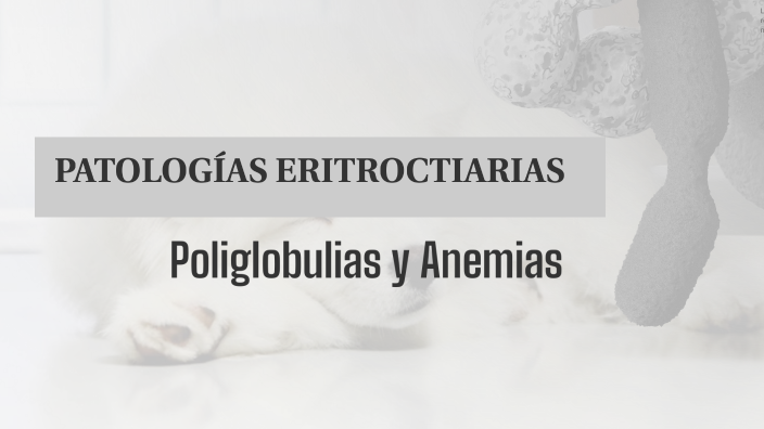 Poliglobulias y Anemias en Animales Domésticos by azucena azcona ...