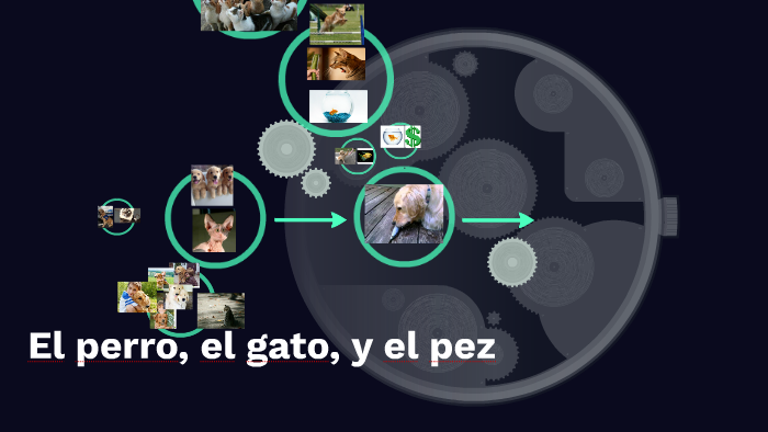 El perro, el gato, y el pez by Heidi Li