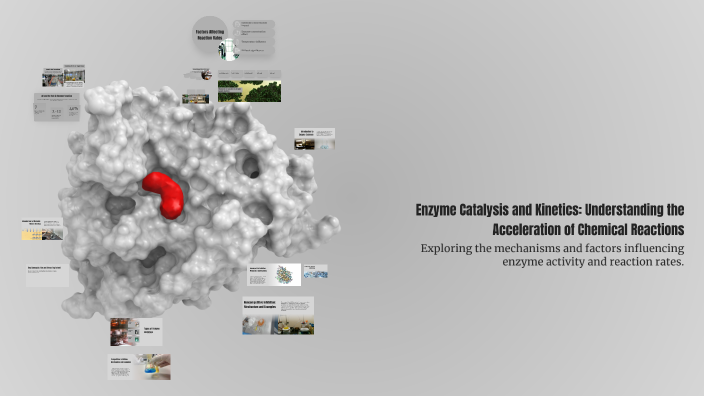 Enzyme Catalysis and Kinetics: Understanding the Acceleration of ...