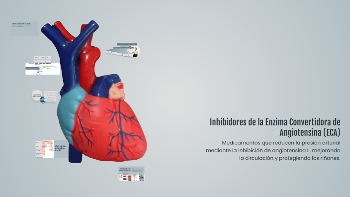Inhibidores de la Enzima Convertidora de Angiotensina (ECA) by Sofia ...