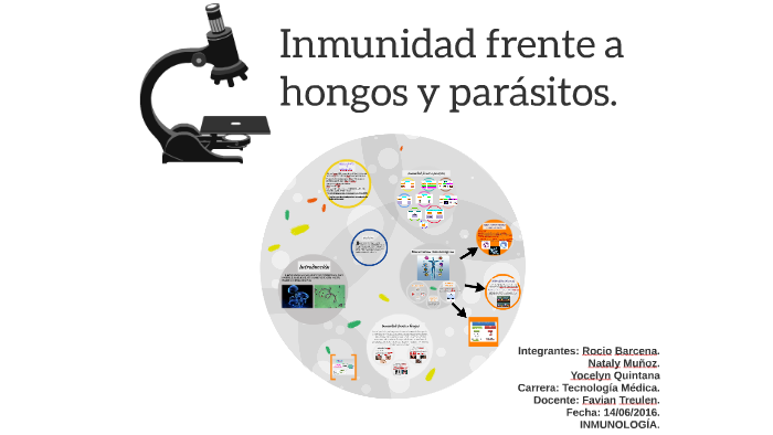 Inmunidad frente a hongos y parasitos. by Nataly Muñoz Muñoz on Prezi
