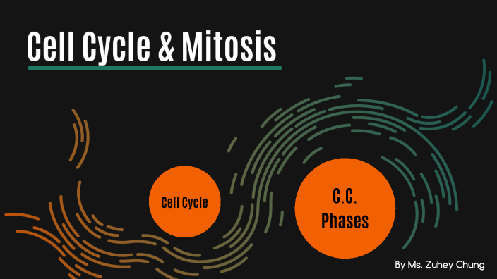 9° Cell Cycle & Mitosis by Zuhey Victoria Chung on Prezi