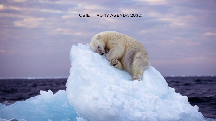 OBIETTIVO 13 AGENDA 2030: by Beatrice Arosio on Prezi