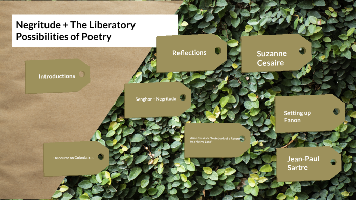 Negritude + The Liberatory Possibilities of Poetry by Amrita Mishra on ...