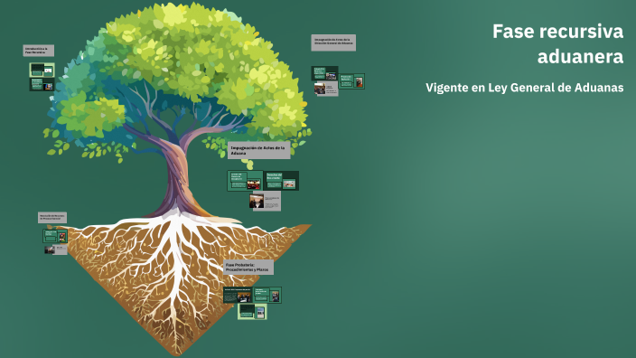 Fase recursiva aduanera by Fabricio Redondo on Prezi
