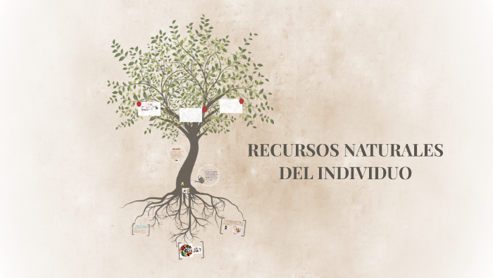 RECURSOS NATURALES DEL INDIVIDUO by diana aguirre on Prezi