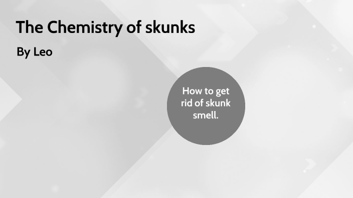 The Chemistry of Skunk by Leonides Xiong on Prezi