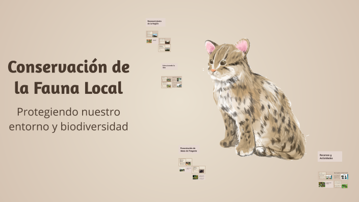 Conservación de la Fauna Local by kiara reynoso on Prezi