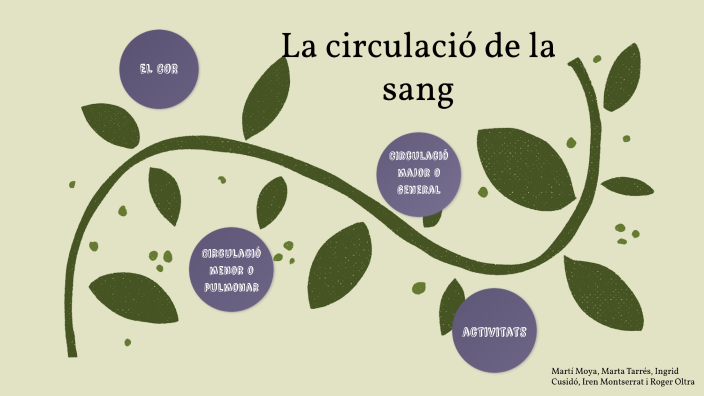 bio la circulaci de la sang by ingrid cusido on Prezi