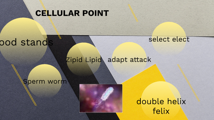 Cellular Point by BRAYDEN TORGRIMSON on Prezi