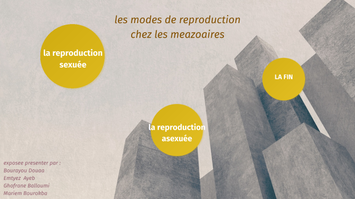 reproduction animale sexuée et asexuée by mariem bourokba on Prezi