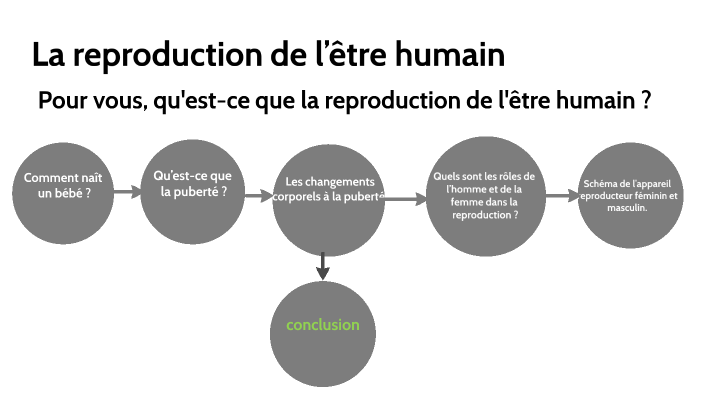 La reproduction de l’être humain by Cesar Novoa on Prezi