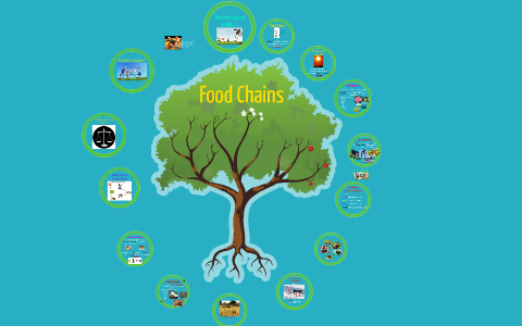 Grade 5: Food Chains by Jared Bremner on Prezi