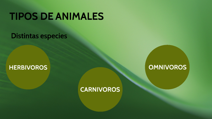 TIPOS DE ANIMALES by GUISELA CARRASCO NEGRETE on Prezi