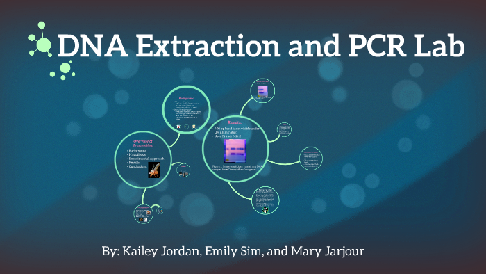 DNA Extraction and PCR Lab by Kailey Jordan on Prezi