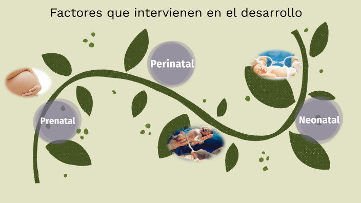 Factores que intervienen en el desarrollo by Judith Vallines Zayas on Prezi