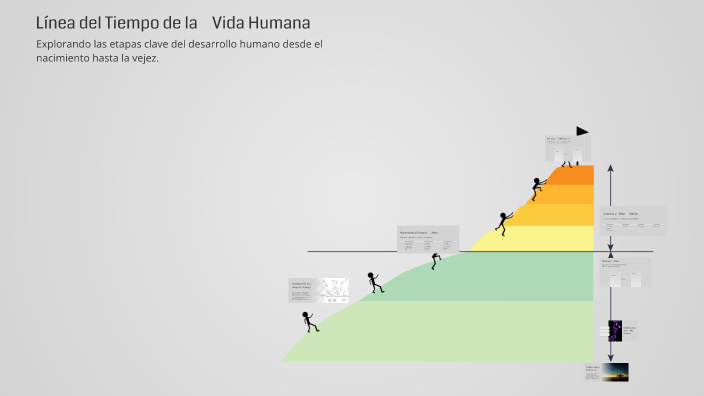 Línea del Tiempo de la Vida Humana by Yanely Castañeda on Prezi