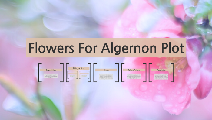 Flowers For Algernon Plot Diagram Prezi | Best Flower Site