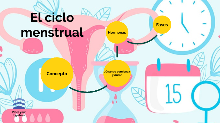 El ciclo menstrual by Martha Velasquez on Prezi